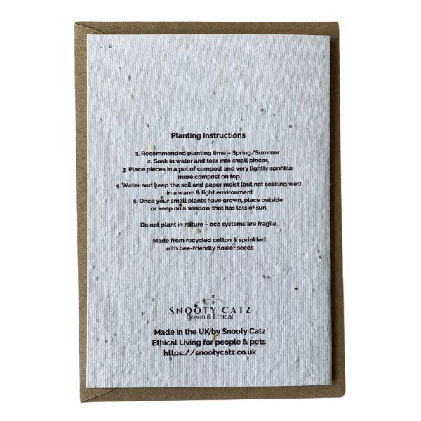 Congratulations on Your New Baby Seed Paper Card - Snooty Catz